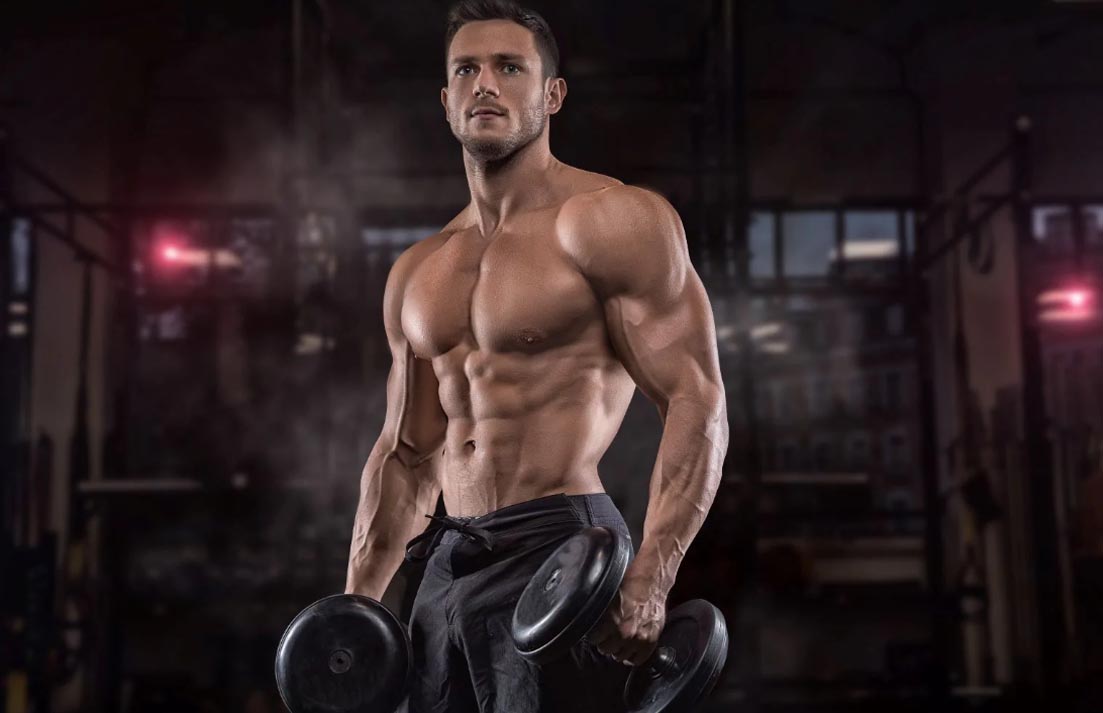 How to Build Muscles Quickly: Muscle Protein Synthesis and Its Impact ...