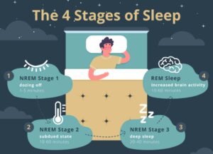 Understanding Your Sleep Cycle: The Four Stages of Non-REM Sleep and ...